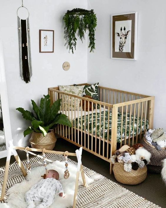 Plants You Need to Have in Your Baby Nursery and How They Help | Le ...